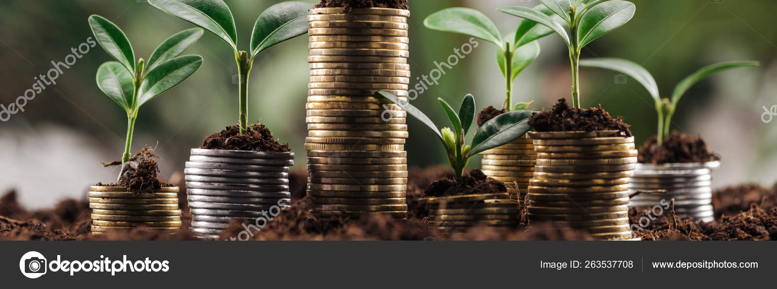 High Volume Credit Card Processing | Low IC+ Rates | Dharma